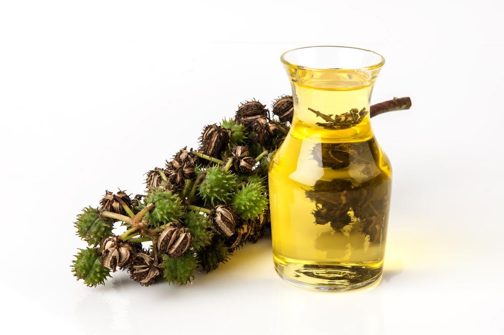 A-Z Master Guide for Castor Oil - MyMatra.com